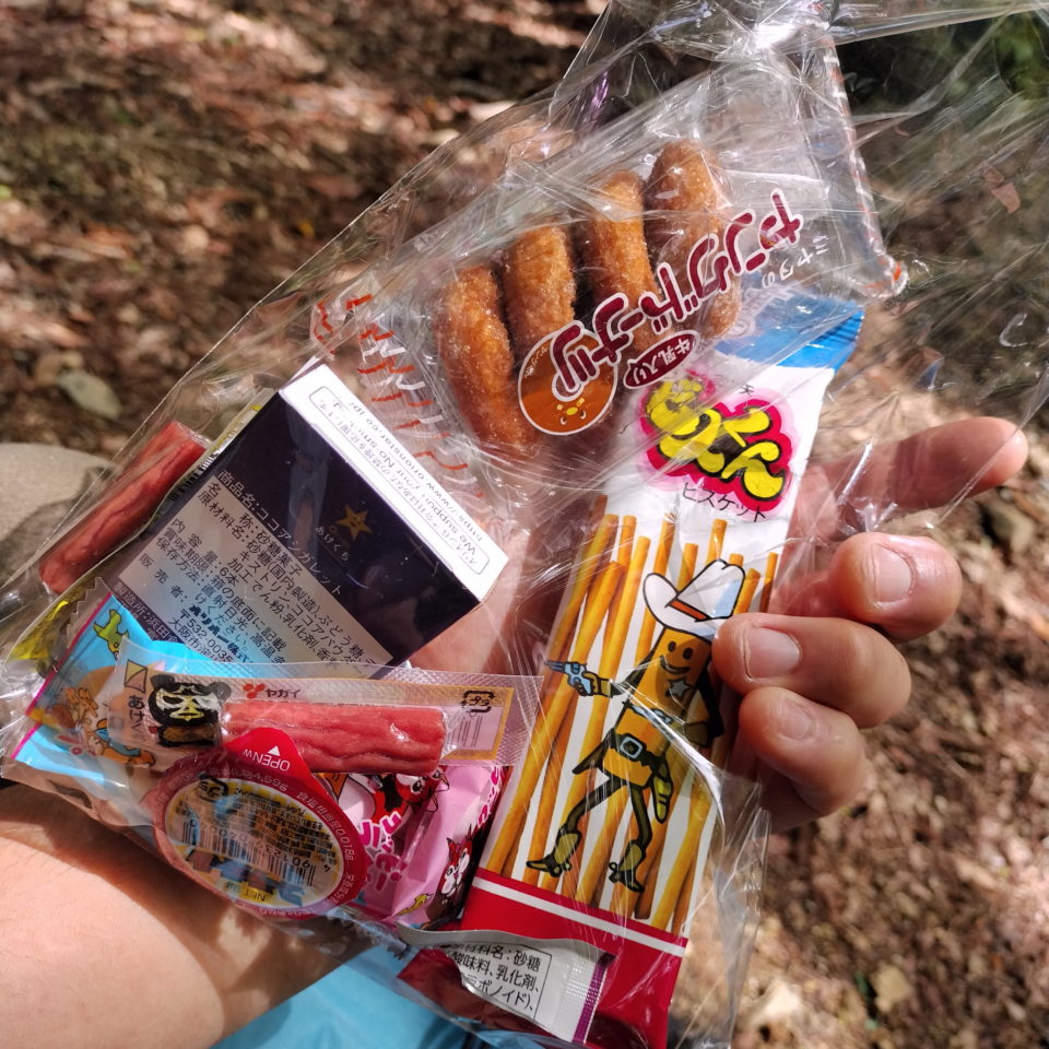 アタアタ登山部。また藤原岳へ！ | ATAATA RESORT