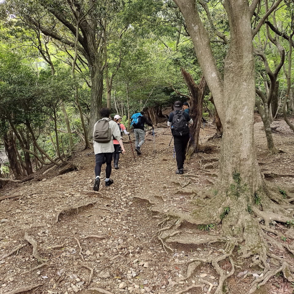 アタアタ登山部。また藤原岳へ！ | ATAATA RESORT