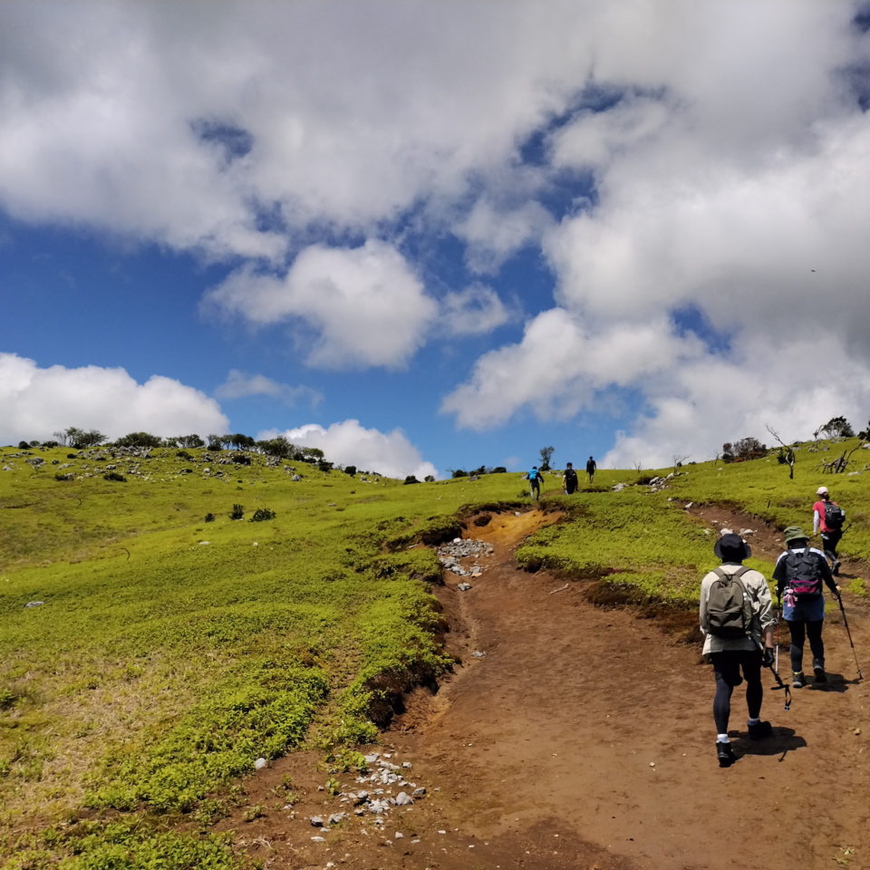 アタアタ登山部。また藤原岳へ！ | ATAATA RESORT
